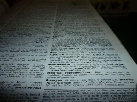 Dictionary Definition Dictionary Definition Of Asexual From Download Scientific Diagram