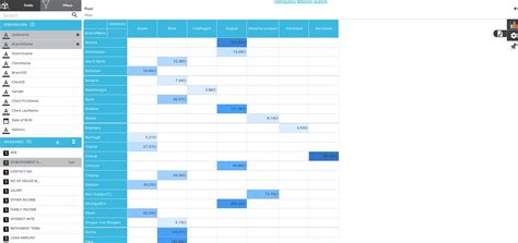 Pivot Table Xceed Analytics Documentation