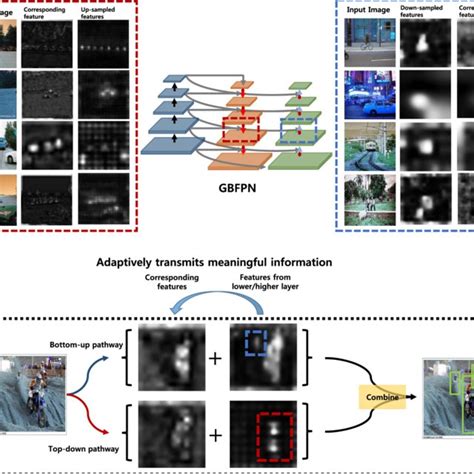 Upsampling And Downsampling Methods Download Scientific Diagram