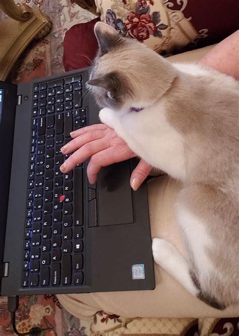 His Thinkpad Is Made Of Warm R Thinkpad