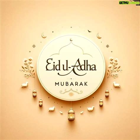 Jake Matthews Wiki Biography Age Gallery Spouse And More