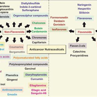 Scheme Showing The Different Classes Of Nutraceuticals With Reported Download Scientific