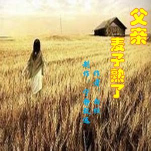 宁静致远 回复不周请谅解 全民K歌