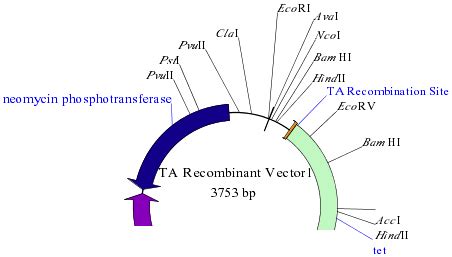 Restriction Analysis Software
