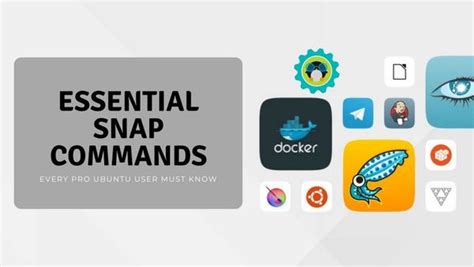 Using Snap Packages In Ubuntu Other Linux Complete Guide