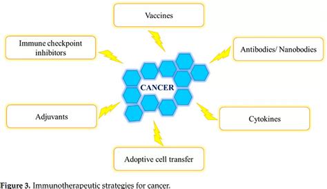 纳米抗体六大肿瘤临床应用 原文链接传统抗体分子量约150kd，大小尺寸为142 Nm × 82 Nm × 38 Nm，使其实体瘤的穿透性