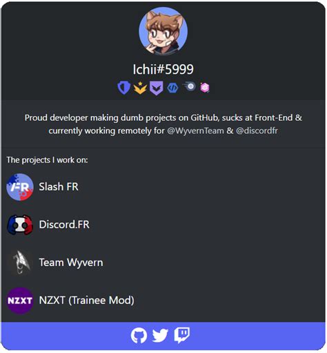 Github Ichiidevprofile Vue Based Discord Styled Profile