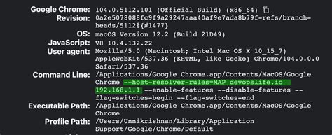 Resolve Dns Locally Using Google Chrome Devopslife