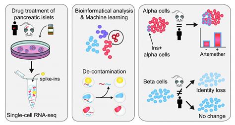 Single Cell Rna Seq Developed To Accurately Quantify Cell Specific Drug