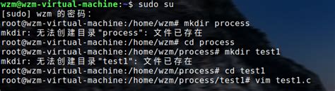 Linux中fork函数创建进程在以下forkc程序中包含能从已存在进程中创建新进程的fork函数 编译并执行代码 Csdn博客