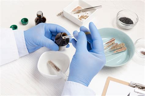 연구 실험실에서 실무 실천의 개념 과일과 채소 씨앗을 공부 하는 전문 과학자 Dna에 대한 스톡 사진 및 기타 이미지 Dna Stem 주제 건강 검진 Istock