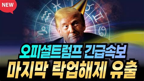 오피셜트럼프 코인 분석 긴급속보 재단 공식입장 발표 마지막 락업해제 일정유출 Youtube