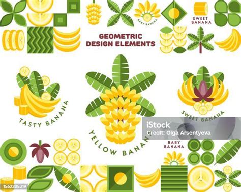 단순한 기하학적 스타일의 노란색 바나나 디자인 요소와 로고 세트 추상적인 도형 브랜딩 식품 패키지 장식 표지 디자인 장식 인쇄