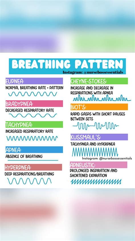 What Are The Two Primary Types Of Breathing Patterns At Clyde Miller Blog
