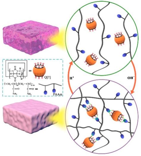 Preparation And Biomedical Applications Of Cucurbit N Uril Based Supramolecular Hydrogels Pmc