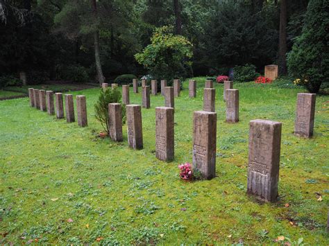 무료 이미지 주춧돌 과거 휴게소 군인 묘 마지막으로 침착 한 무덤 돌 삼림 묘지 지리적 특징 숲 묘지