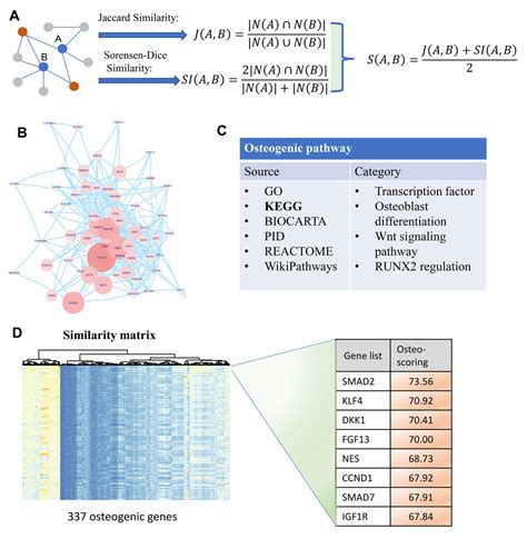 Similarity Based Metric Analysis Approach For Predicting Osteogenic
