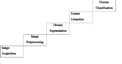 Image Processing Svm Approach Download Scientific Diagram