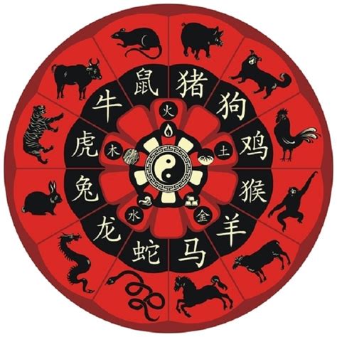 【2020開運大預言】雨揚老師12生肖運勢公開，好運運勢top 3？ Enews新聞網