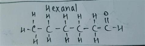 Ncert Solution Science Class 10 Chapter 4 Carbon And Its Compounds