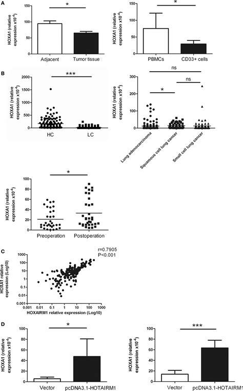 Frontiers Long Non Coding RNA HOXA Transcript Antisense RNA Myeloid