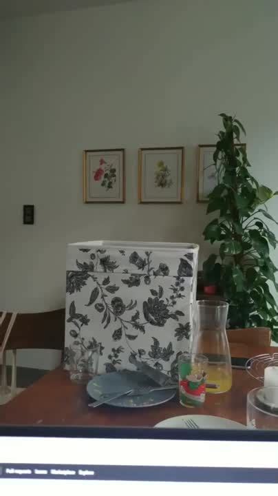 sigasi on linkedin catsofsigasi