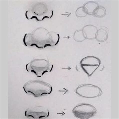 How To Draw A Nose Step By Step For Beginners