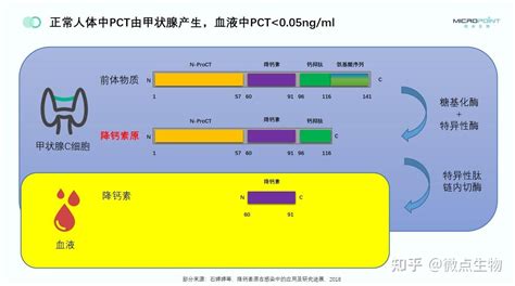PCT如何指导抗生素合理停用 知乎