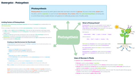 Gcse Biology Aqa Bioenergetics Notes Teaching Resources