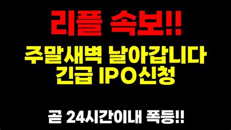 속보입니다 리플 긴급 나스닥상장 소식입니다 미쳤네요 리플 리플전망 Youtube