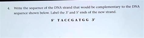 4 write the sequence of the dna strand that would be complementary to