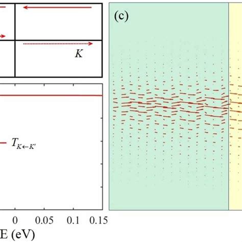 A Topological Junction Consisting Of Regions P And N From Figures