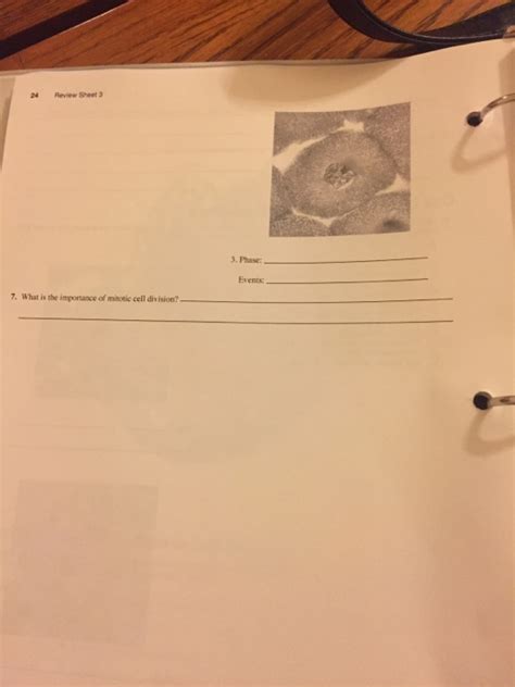 Solved 3 REVIEW SHEET NAME EXERCISE LAB TIME DATE The Chegg Com