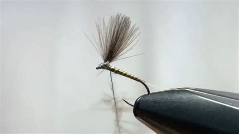 Bwo Dun 1 Min Tutorial Artofit