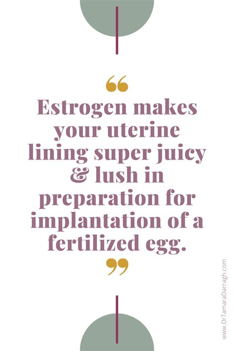 What Hormones Regulate Fertility Artofit