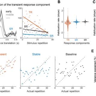 Sensory Expectation Controls The Transient Response A An Example Download Scientific Diagram
