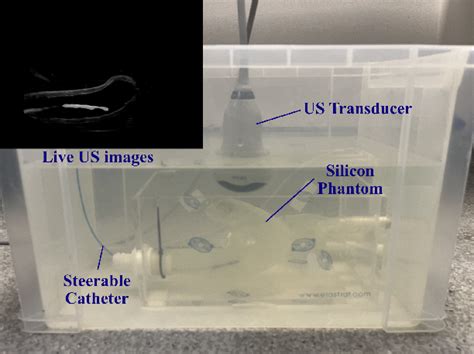 Cathflow Self Supervised Segmentation Of Catheters In Interventional