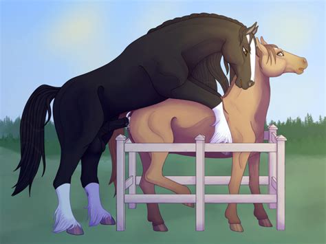 Rule 34 Animal Genitalia Animal Penis Balls Black Body Black Hair