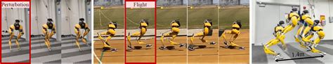 Reinforcement Learning For Versatile Dynamic And Robust Bipedal Locomotion Control