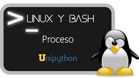 Procesos en Linux y Bash Cursos de Programación de a Experto Garantizados
