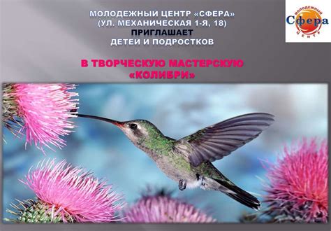 Презентация про колибри