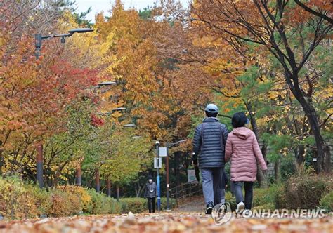 평년보다 포근한 주말낮 최고 17∼20도 나들이하기 좋아 나무뉴스