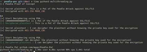 Decryption Can Be Parallelize · Issue 1 · Mpgnpoodle Poc · Github