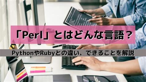 「perl」とはどんな言語？pythonやrubyとの違い、できることを解説 ノーコード・ローコードに特化したシステム開発・導入支援サービス