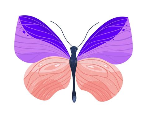 Butterfly Spread Wings And Sitting On A Surface Stock Illustration Illustration Of Premium