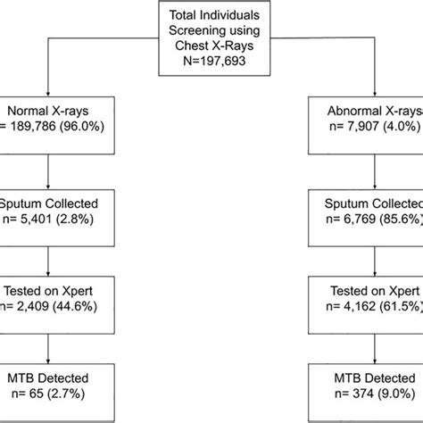 Overview Of Tb Case Detection Cascade For Mobile Chest X Ray Supported