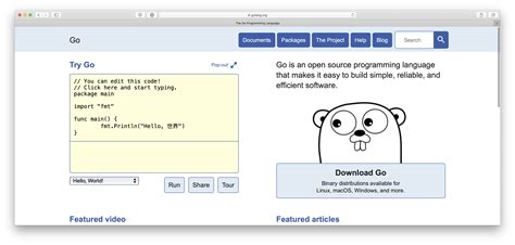 Godoc Search Text Is Cut Off On Safari Issue Golang Go GitHub