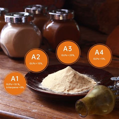 Wholesale Organic Ganoderma Lucidum Extract Ganoherb