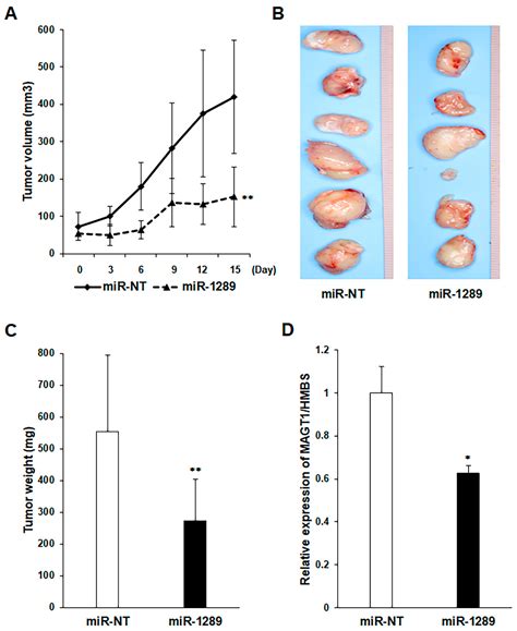 Cancers Free Full Text Microrna 1289 Functions As A Novel Tumor Suppressor In Oral Squamous