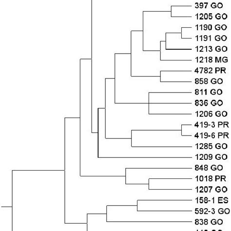 Dendrogram Obtained Using The Upgma Method Showing The Genetic